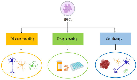 Induced Pluripotent Stem Cells and Their Applications in Amyotrophic Lateral Sclerosis