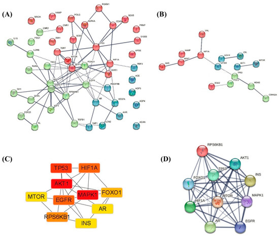 Cells | Free Full-Text | The Timing Sequence and Mechanism of Aging in Endocrine Organs