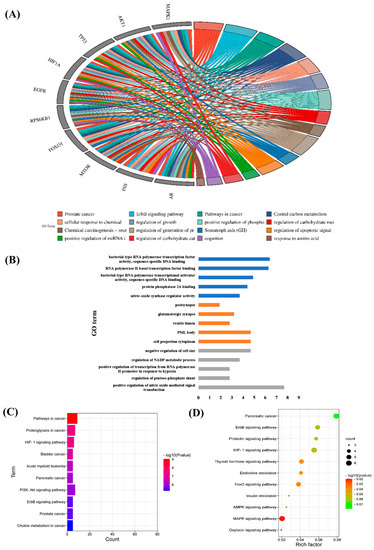 Cells | Free Full-Text | The Timing Sequence and Mechanism of Aging in Endocrine Organs