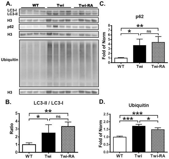 Rapamycin Alleviates Protein Aggregates, Reduces Neuroinflammation, and ...