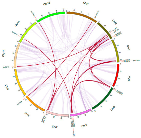 Systematic Investigation of TCP Gene Family: Genome-Wide Identification and Light-Regulated Gene ...