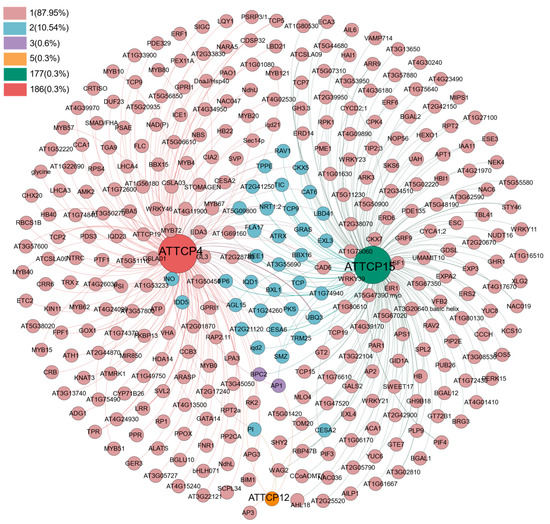 Systematic Investigation of TCP Gene Family: Genome-Wide Identification and Light-Regulated Gene ...
