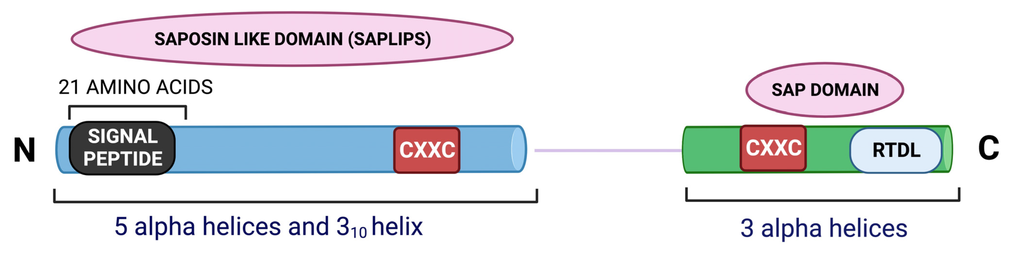 Mesencephalic Astrocyte-Derived Neurotrophic Factor (MANF): An Emerging ...