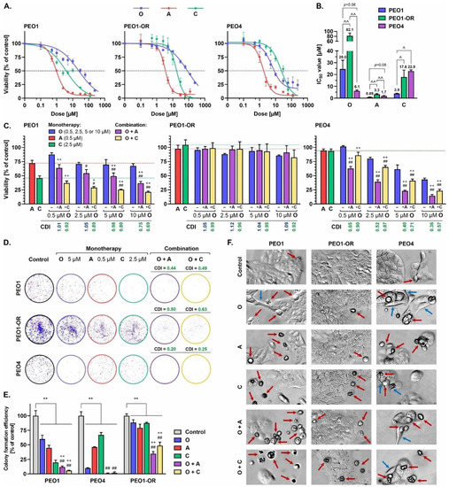 Olaparib-Resistant BRCA2MUT Ovarian Cancer Cells with Restored BRCA2 ...