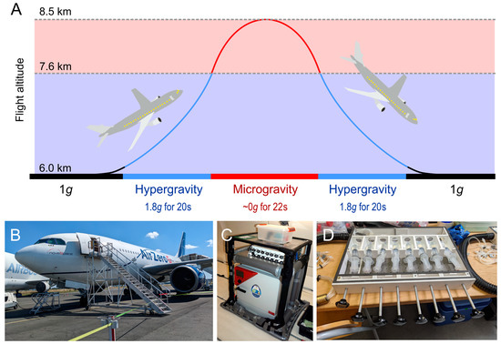 Current Knowledge about the Impact of Microgravity on Gene Regulation