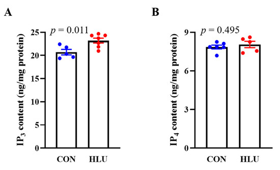 New Findings: Hindlimb Unloading Causes Nucleocytoplasmic Ca2+ Overload ...