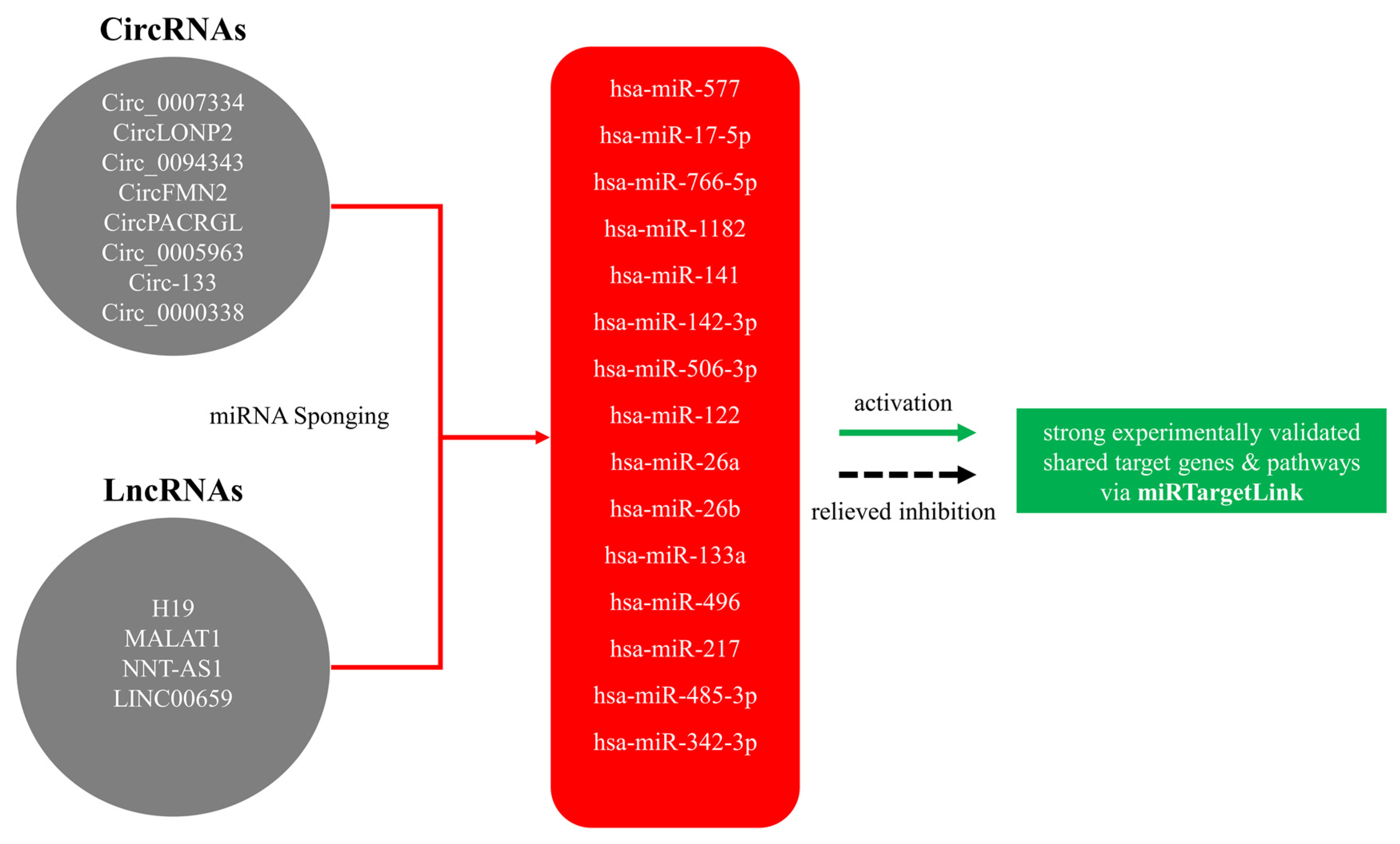 Cells Free Full Text Insights On The Biomarker Potential Of