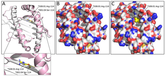 Crystal Structure of a Classical MHC Class I Molecule in Dogs ...
