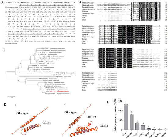 Glucagon Promotes Gluconeogenesis through the GCGR/PKA/CREB/PGC-1α ...