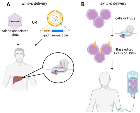 CRISPR-Cas System: The Current and Emerging Translational Landscape