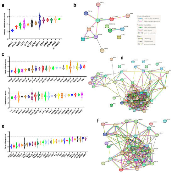 Cells | Free Full-Text | Single-Cell Transcriptome Analysis Revealed ...