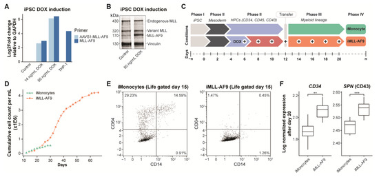 Inducible MLL-AF9 Expression Drives an AML Program during Human ...