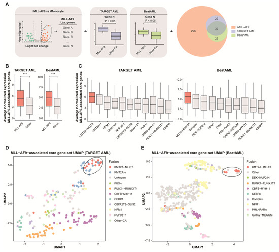 Inducible MLL-AF9 Expression Drives an AML Program during Human ...
