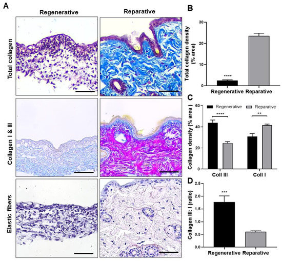 Comprehensive Characterization of Tissues Derived from Animals at ...