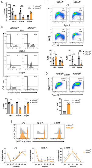 Enhanced B Cell Receptor Signaling Partially Compensates for Impaired ...