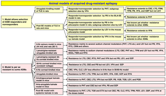Animal Models of Drug-Resistant Epilepsy as Tools for Deciphering the ...
