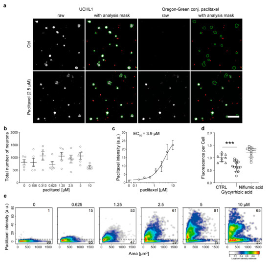 Glycyrrhizic Acid Prevents Paclitaxel-Induced Neuropathy via Inhibition ...