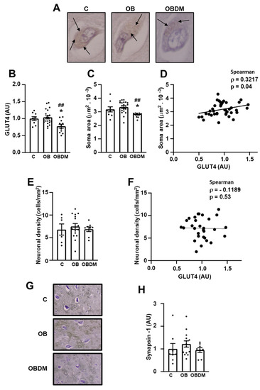 Postmortem Brains from Subjects with Diabetes Mellitus Display Reduced ...