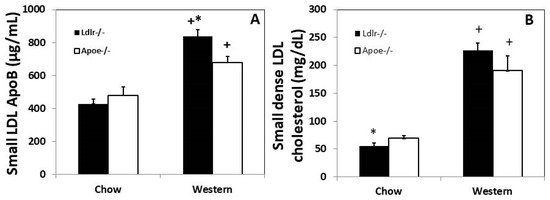 Atherogenesis in Apoe−/− and Ldlr−/− Mice with a Genetically Resistant ...