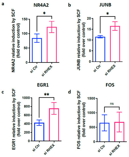 Cells | Free Full-Text | Clorfl86/RHEX Is a Negative Regulator of SCF ...