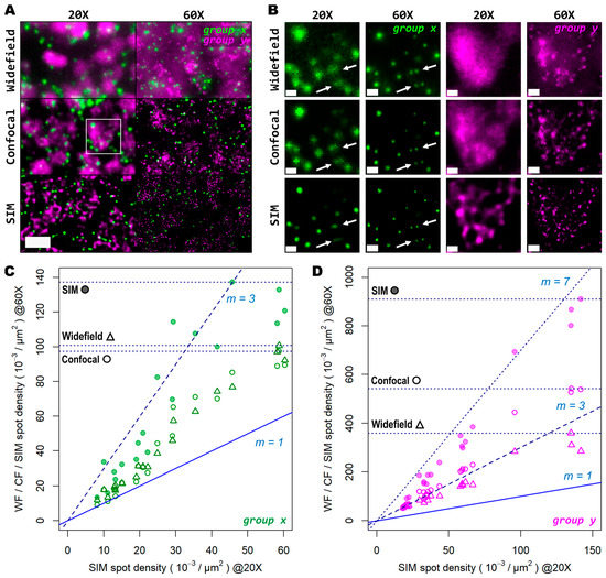 Structured Illumination Microscopy Improves Spot Detection Performance ...