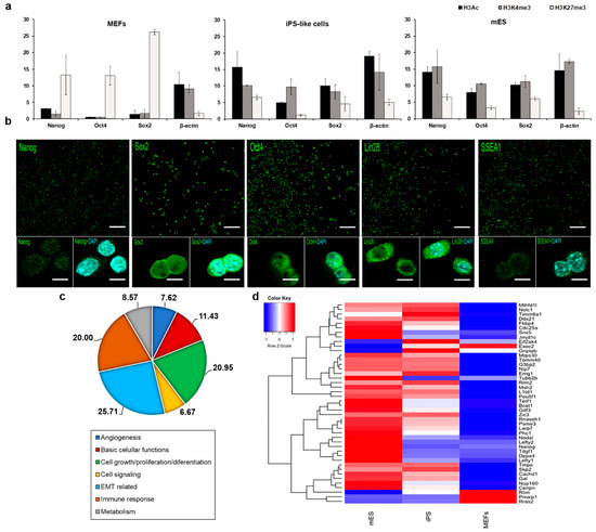 Cells | Free Full-Text | The E1a Adenoviral Gene Upregulates the ...