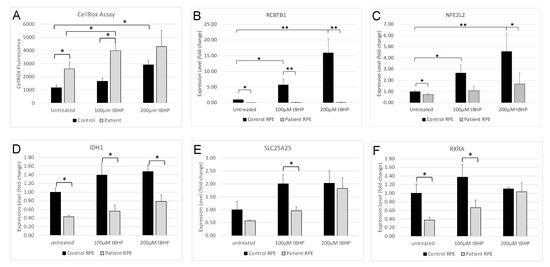 Mitochondrial Dysfunction and Impaired Antioxidant Responses in Retinal ...