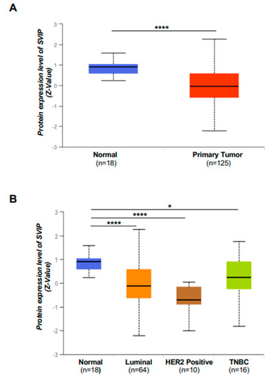 Differential Expression and Function of SVIP in Breast Cancer Cell ...