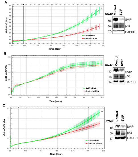 Differential Expression and Function of SVIP in Breast Cancer Cell ...