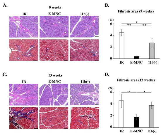 Immunomodulatory Macrophages Enable E-MNC Therapy for Radiation-Induced ...
