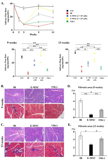 Immunomodulatory Macrophages Enable E-MNC Therapy for Radiation-Induced ...