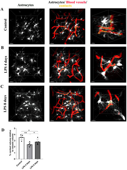 LPS-Induced Systemic Inflammation Affects the Dynamic Interactions of ...