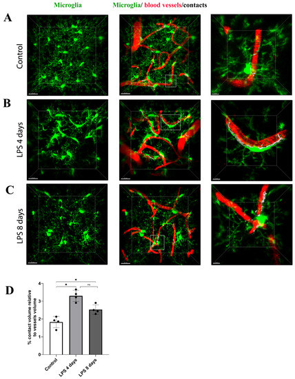 LPS-Induced Systemic Inflammation Affects the Dynamic Interactions of ...