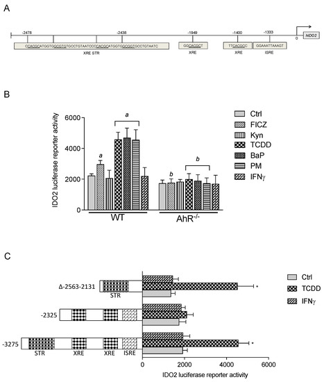 Regulation of IDO2 by the Aryl Hydrocarbon Receptor (AhR) in Breast Cancer
