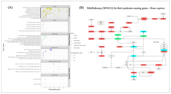 Genetic and Protein Network Underlying the Convergence of Rett-Syndrome ...