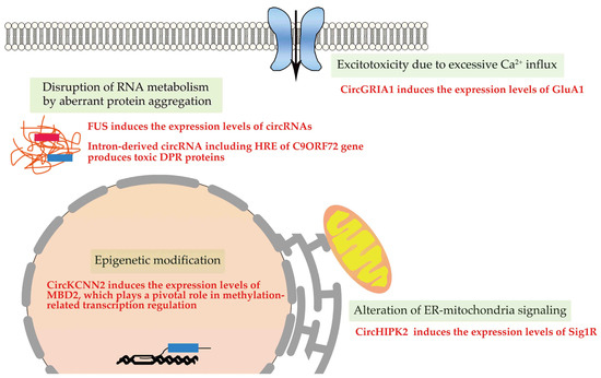 Roles of Aging, Circular RNAs, and RNA Editing in the Pathogenesis of ...