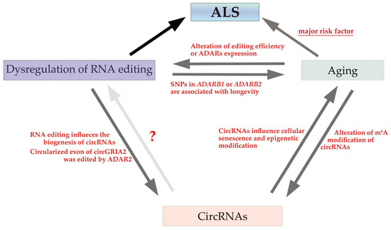 Roles of Aging, Circular RNAs, and RNA Editing in the Pathogenesis of ...
