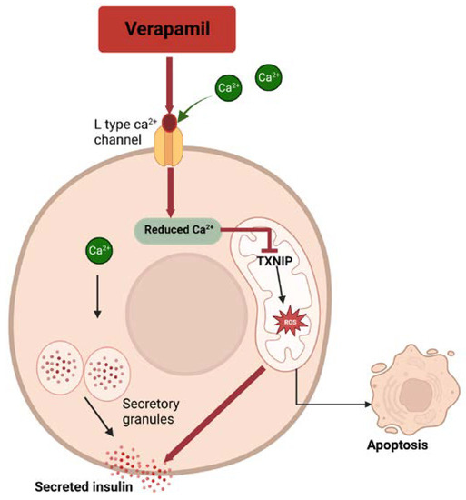 Emerging Anti-Diabetic Drugs for Beta-Cell Protection in Type 1 Diabetes