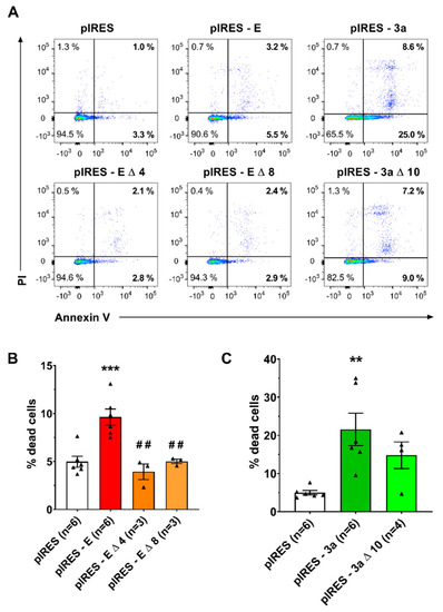 SARS-CoV-2 E and 3a Proteins Are Inducers of Pannexin Currents