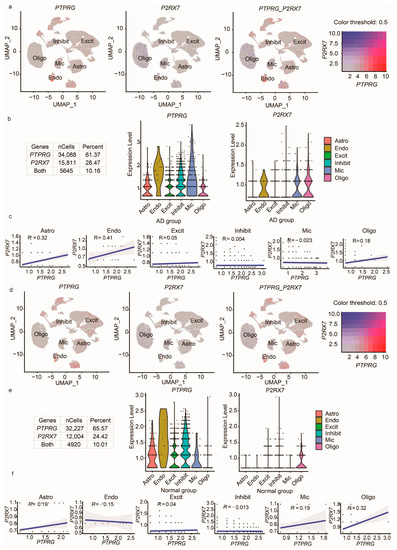 Cells Free Full Text Scviewer An Interactive Single Cell Gene