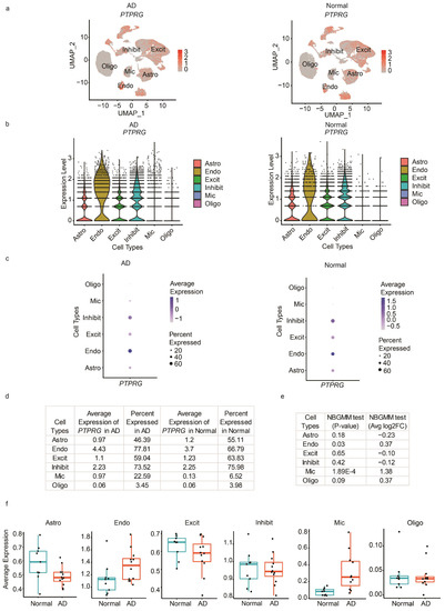 scViewer: An Interactive Single-Cell Gene Expression Visualization Tool