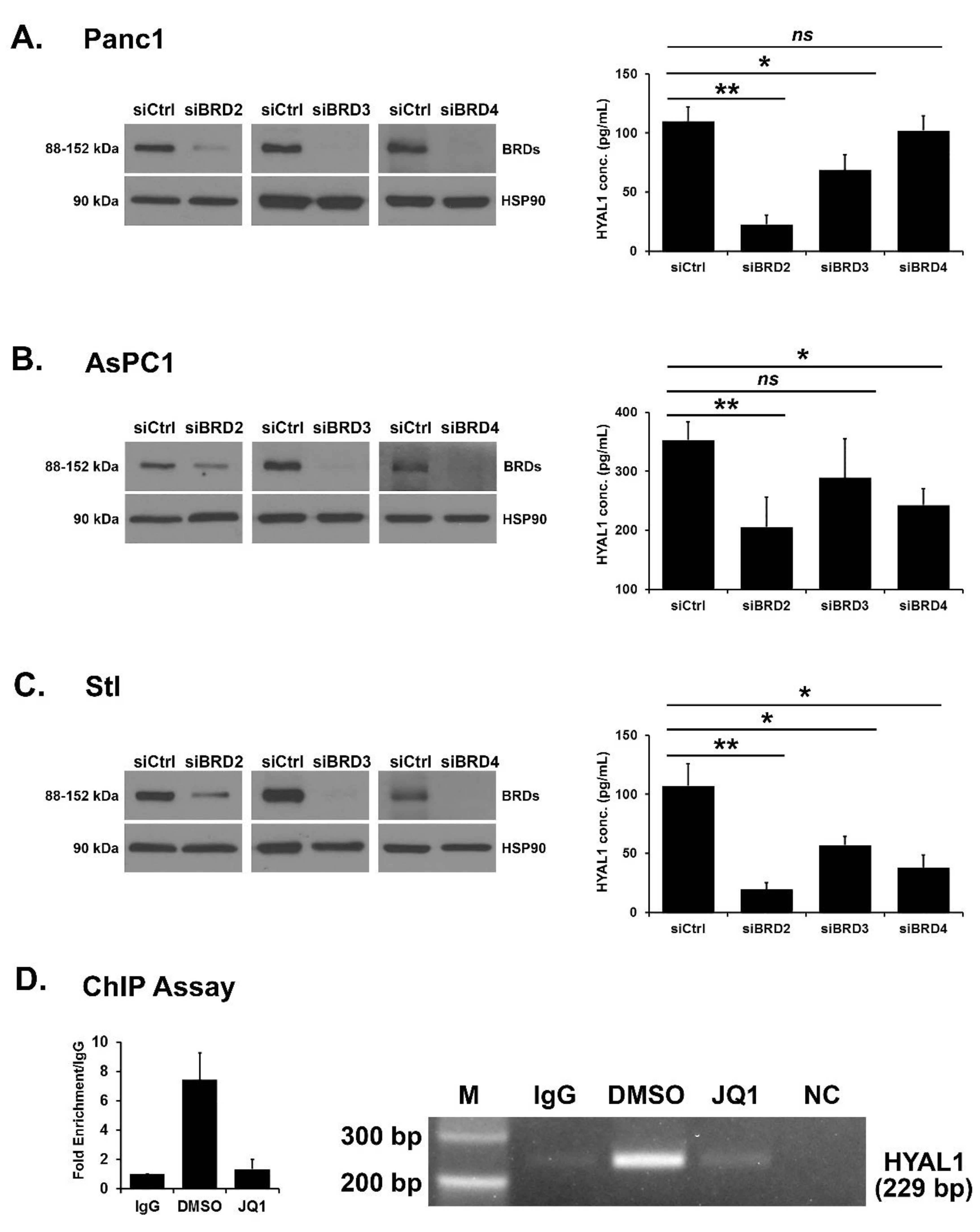 Targeting BET Proteins Decreases Hyaluronidase-1 in Pancreatic Cancer