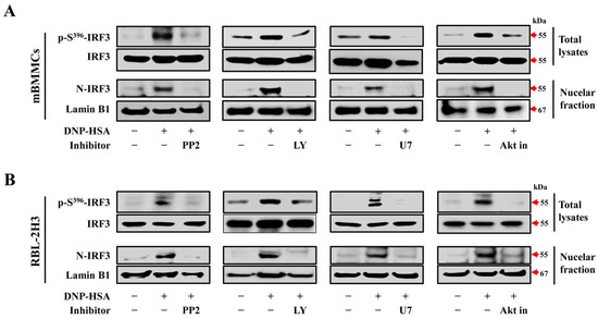 IRF3 Activation in Mast Cells Promotes FcεRI-Mediated Allergic Inflammation