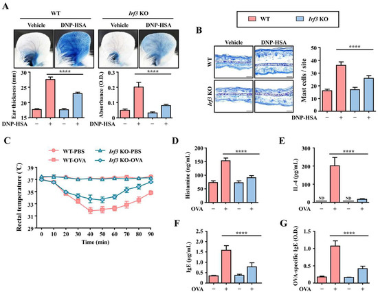 IRF3 Activation in Mast Cells Promotes FcεRI-Mediated Allergic Inflammation