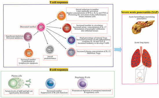 The Emerging Roles of the Adaptive Immune Response in Acute Pancreatitis