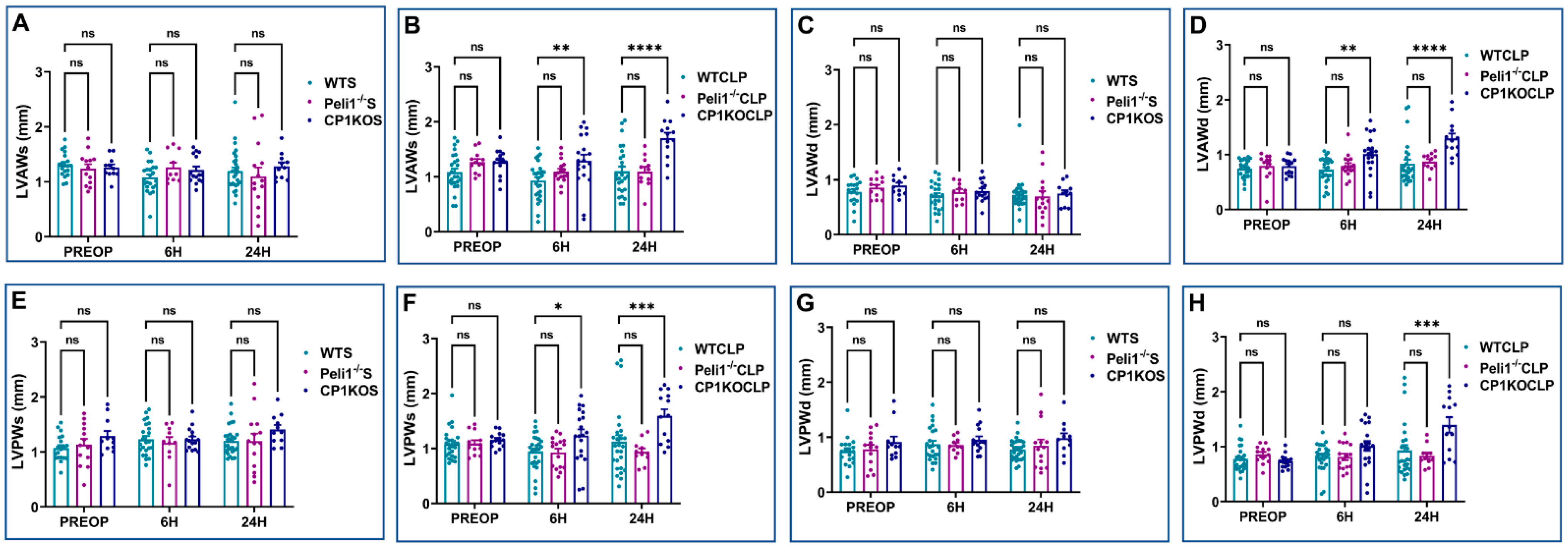 Role of Pellino-1 in Inflammation and Cardioprotection following Severe ...
