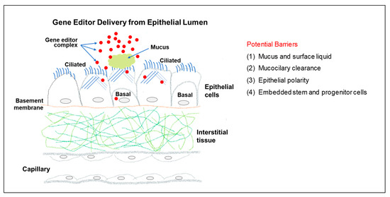Genome Editing for Cystic Fibrosis