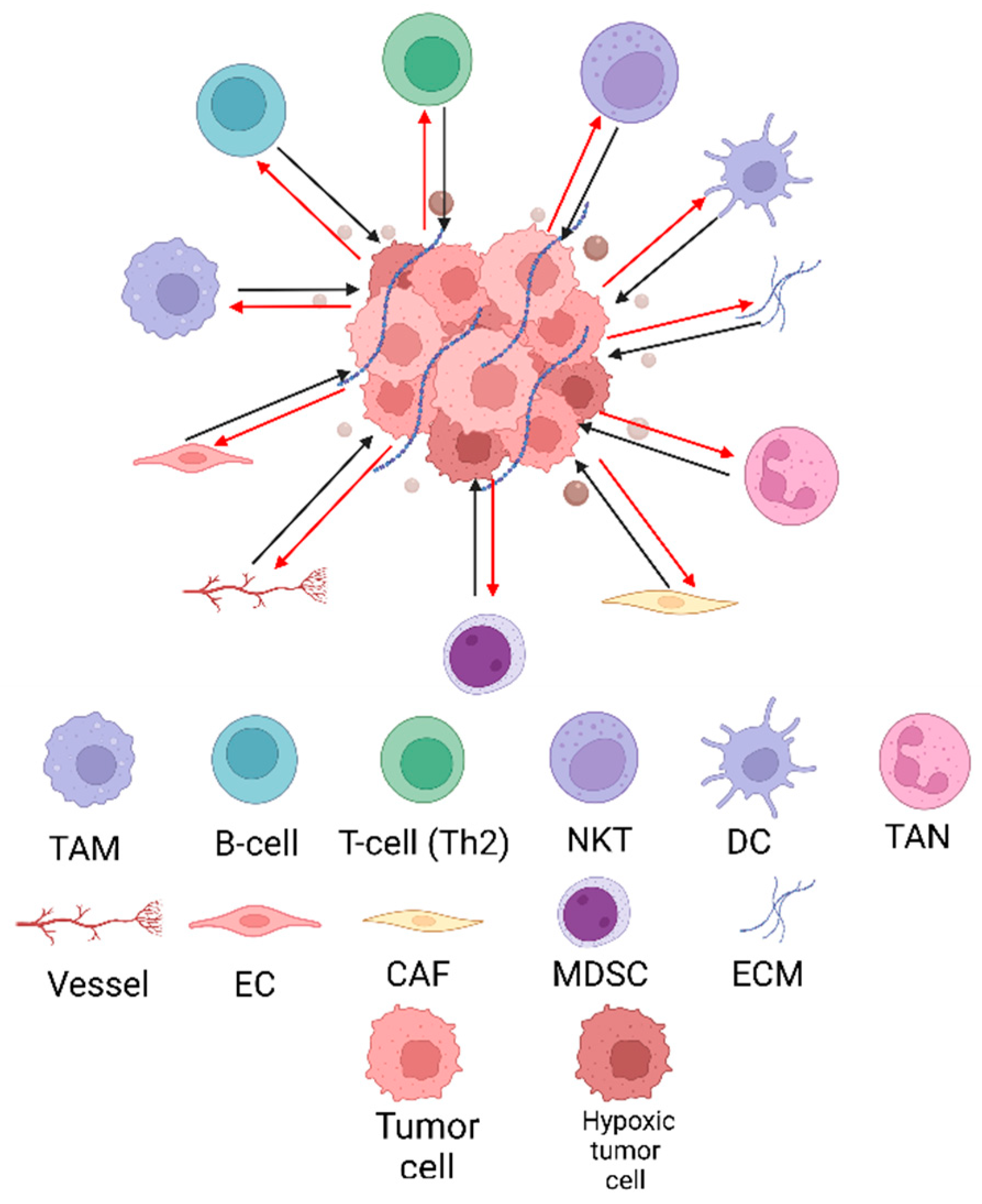 Cells | Free Full-Text | Tumor Microenvironment Role in Pancreatic ...