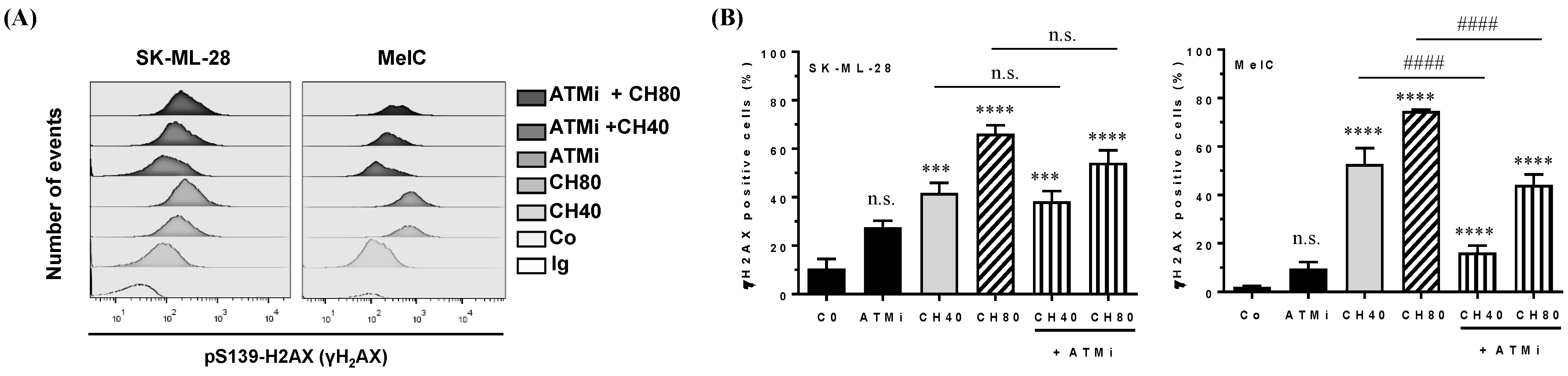 Chrysin-Induced Regression of Angiogenesis via an Induction of DNA ...