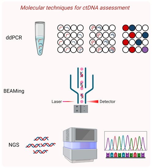 Circulating Tumor DNA in the Management of Early-Stage Breast Cancer